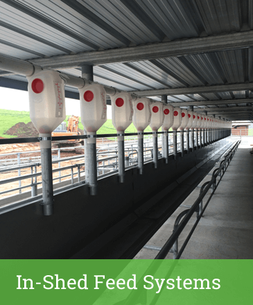 Feeding dairy cows Waikato | Livestock Feed Systems Hamilton